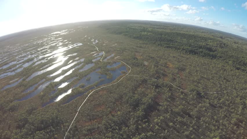 Swamp, Birds Eye View, Beautiful View From Above, Drone. Traveler ...