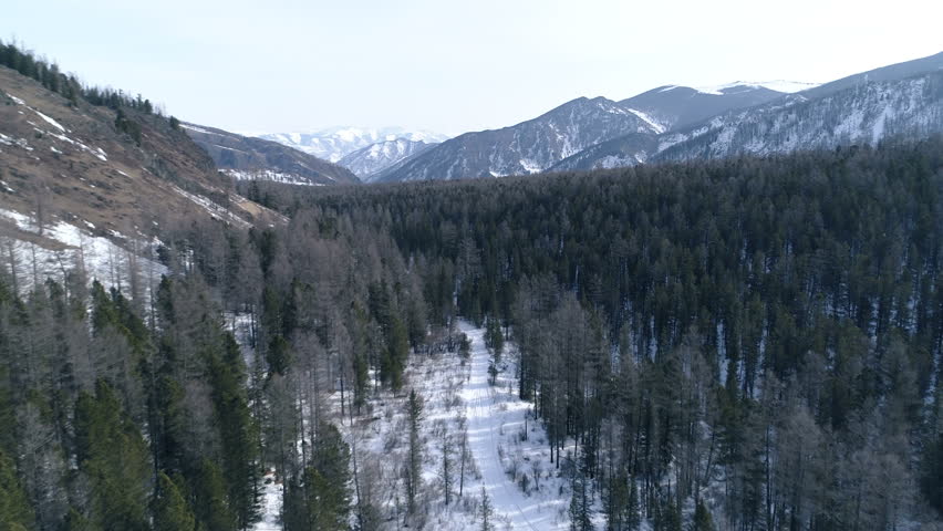 Aerial Flying Above the Taiga Stock Footage Video (100% Royalty-free ...