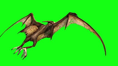 Pterodactyl Stock Video Footage - 4K and HD Video Clips | Shutterstock