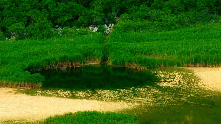 Source of Fresh Water. Island 스톡 동영상 비디오(100% 로열티프리) 2596793 | Shutterstock