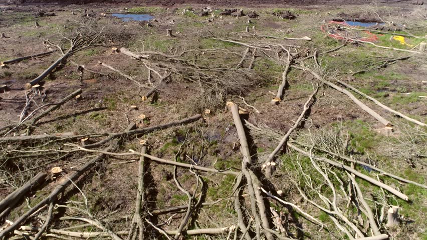 Aerial Top Down View Flying Forwards Over Destroyed Cut Forest Showing ...
