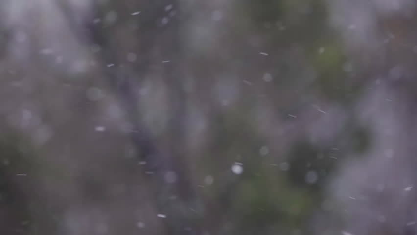 Slow Motion Of Snow Flakes Falling From The Sky In The Winter Season ...