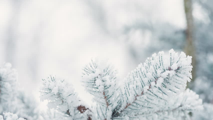 Seamless Growing Frost Pattern Background For Films About Nature, Ice ...