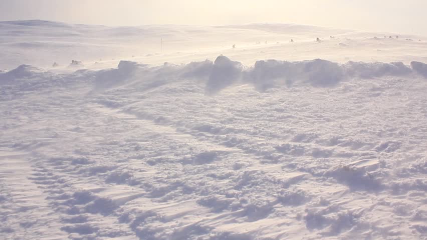 Arctic Wasteland Hurricane Gale Force Winds Blowing Snow Over Tundra ...