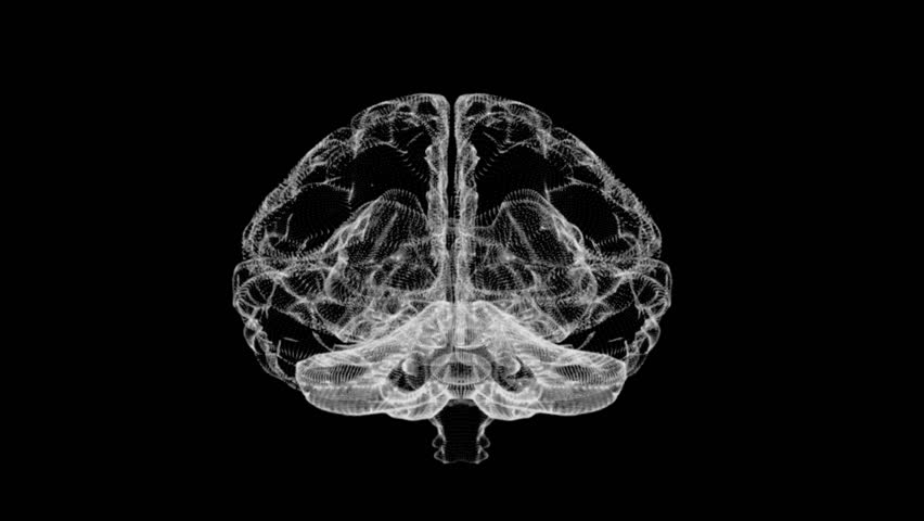Stock video of brain wire frame model | 2746073 | Shutterstock