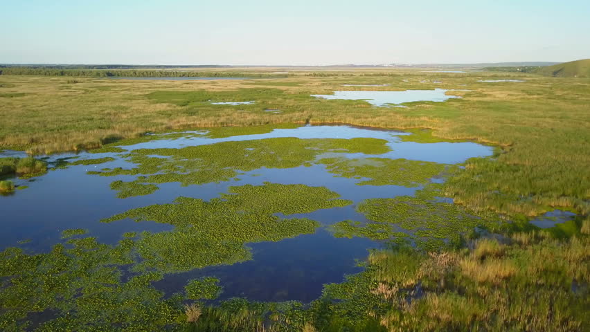 Wetlands Ponds Landscape image - Free stock photo - Public Domain photo ...