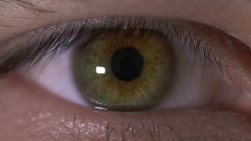 Big Moving Eye. Close Up Of An Eyeball Moving Across The Screen ...