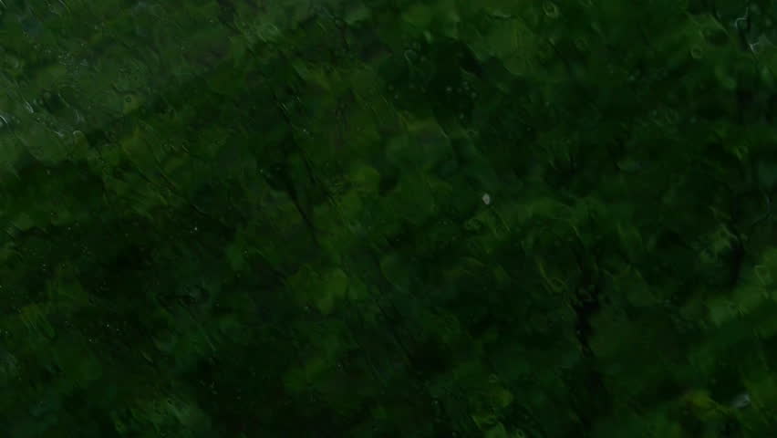 Blurry Background of Rain Water Stock Footage Video (100% Royalty-free ...