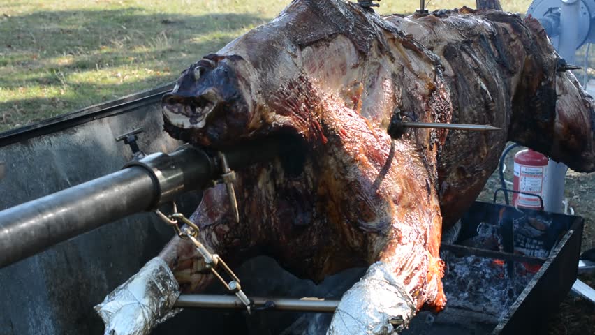 Stock video of whole bull salted, oiled and herbed | 30658363 ...