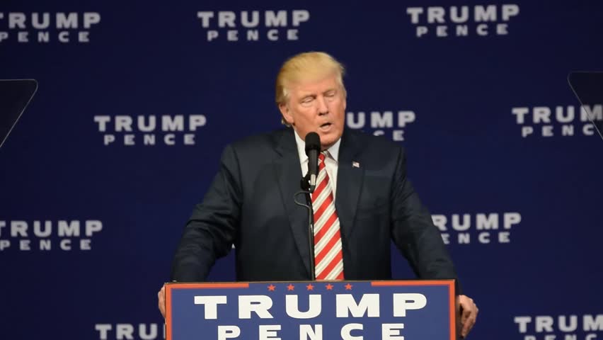 Trump Stock Video Footage - 4K and HD Video Clips | Shutterstock