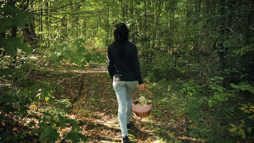 Hikers Walking In Forest Jungle. Hiking Girl Trekking Through Dense ...