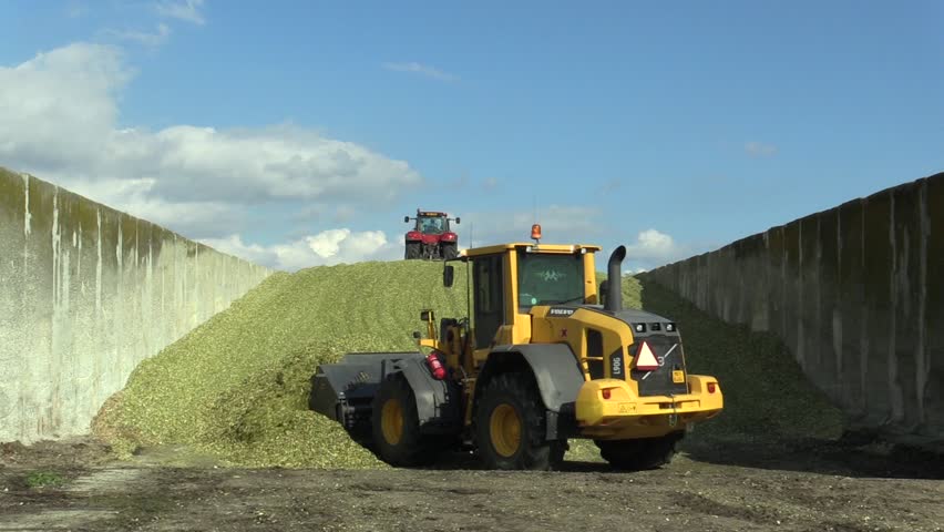 OLOMOUC, CZECH REPUBLIC, SEPTEMBER 4, 2017: Corn Maize Silage Pile In ...