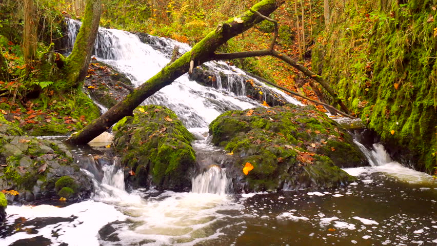 Mountain Creek Waterfall With Yellow Fall Leaves And Red Rock. Stock ...