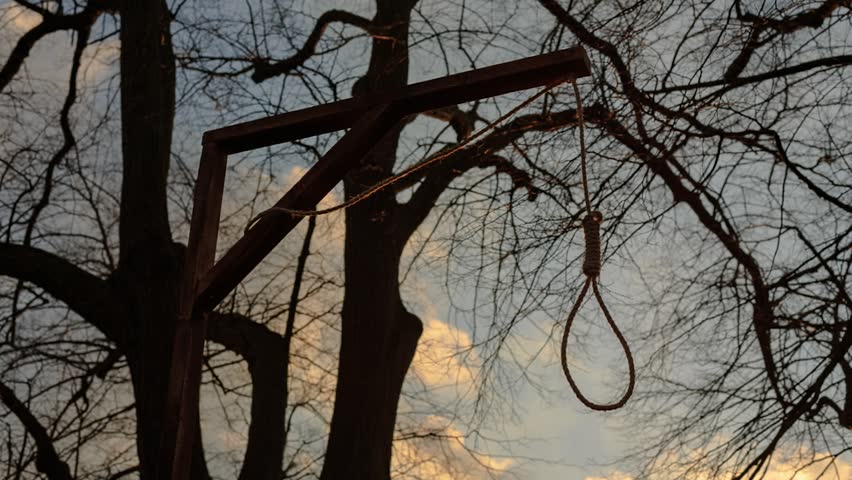 Gallows Tree Stock Video Footage - 4K and HD Video Clips | Shutterstock