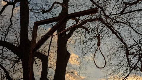 Gallows Tree Stock Video Footage - 4K and HD Video Clips | Shutterstock