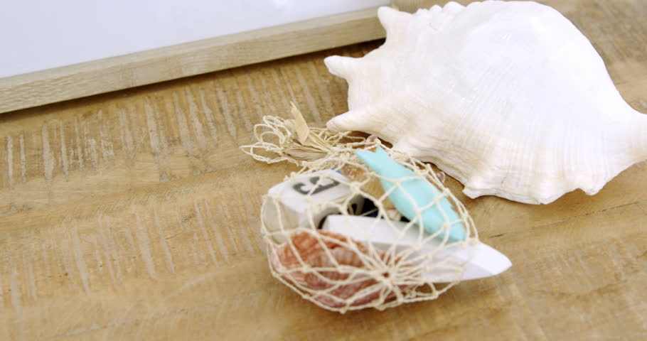 Close-up of Seashell and Toys Stockvideos & Filmmaterial (100 % ...