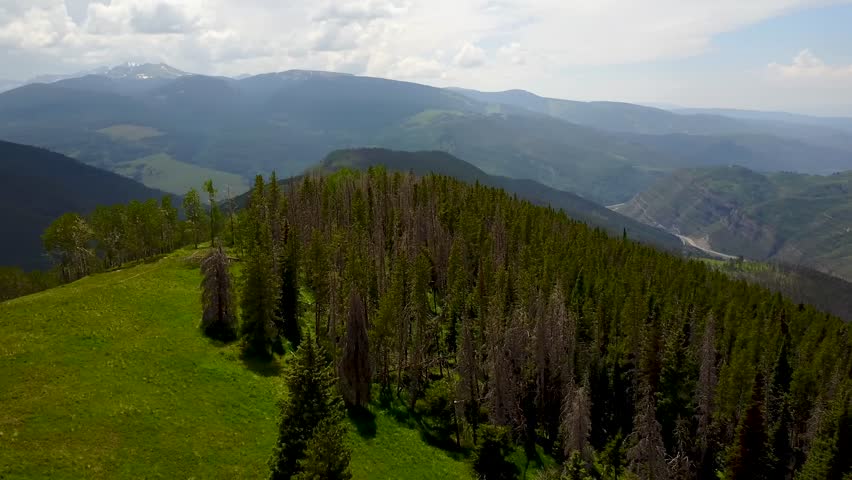 The Conifer Forests at Rocky Mountains National Park, Colorado image ...
