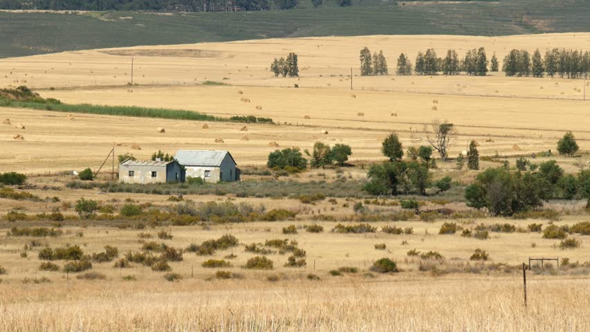 Swartland Stock Video Footage - 4K and HD Video Clips | Shutterstock