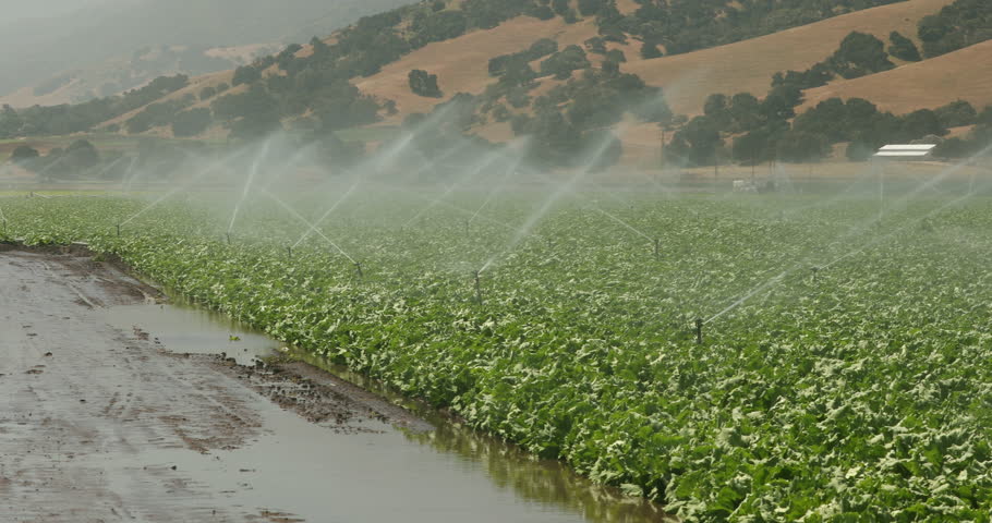 Sprinkler watering Farm in California image - Free stock photo - Public ...