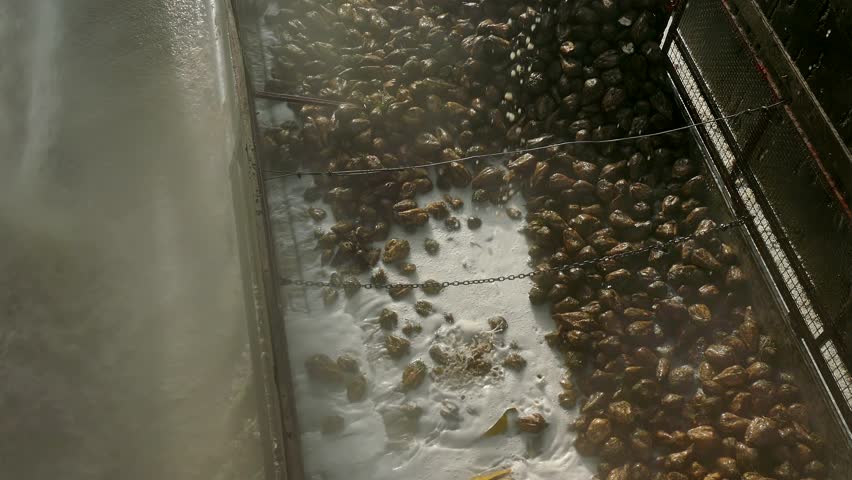 Sugar Factory Stock Footage Video | Shutterstock