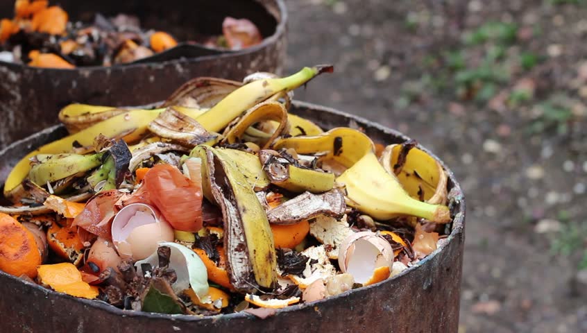 Home Compost Barrel. Sorting Out Stock Footage Video (100% Royalty-free ...