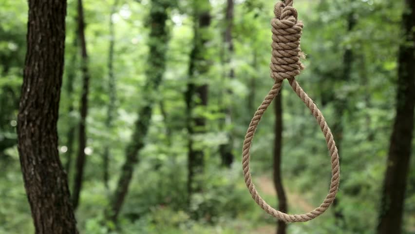 Hang Rope On the Branch Stock Footage Video (100% Royalty-free ...