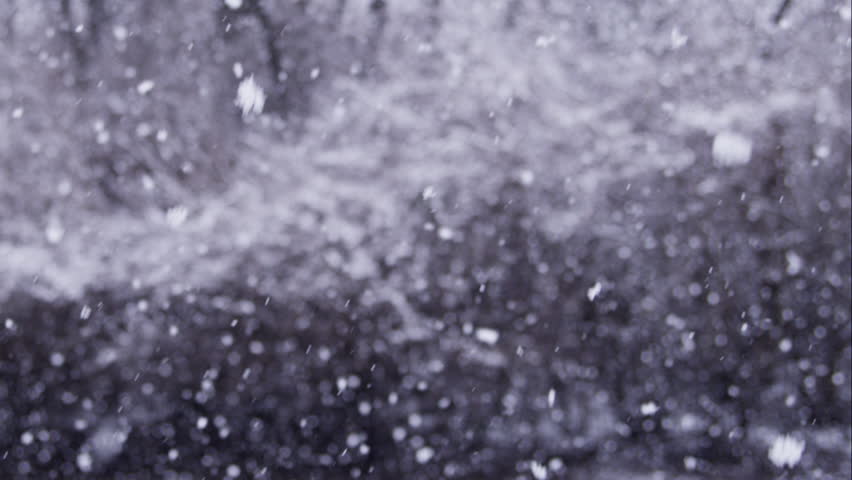 Snowflakes, Shallow Depth Of Field - Intense Snow Video Background Loop ...