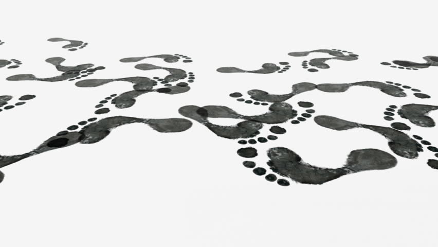 Animated Footprints On White Background Stock Footage Video 3550859 ...