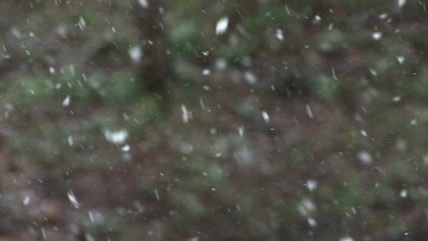 Gentle Snowfall. Stock Footage Video (100% Royalty-free) 377353 ...