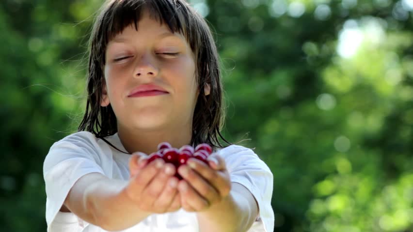 Stock video of boy showing cherries in hands | 4129003 | Shutterstock