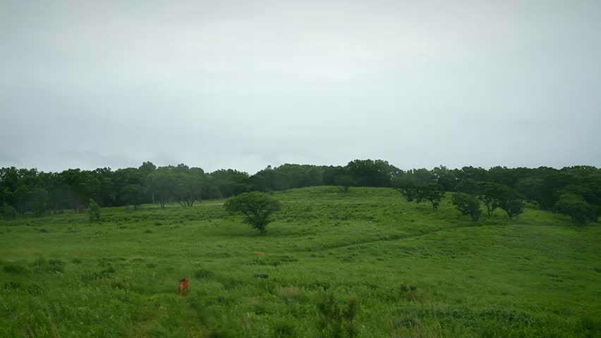 A Shot Of The Beautiful Welsh Countryside Shot On A Sunny Summer/Autumn ...