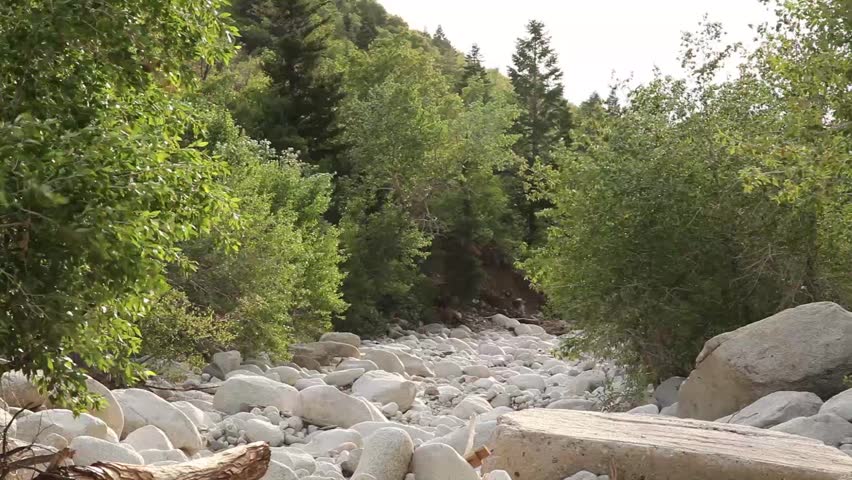 Dry Stream Bed with Light Stock Footage Video (100% Royalty-free ...