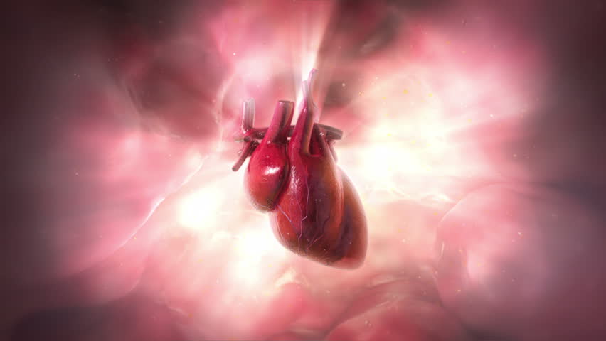 Heartbeat. a Human Heart Beating, Stock Footage Video (100% Royalty ...
