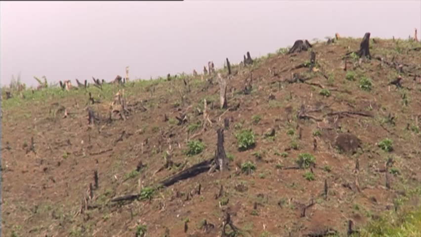 Why Farm Vertically? – verticils