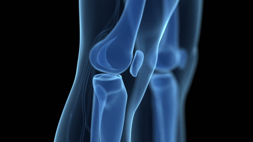 Animation Showing the Human Knee Stock Footage Video (100% Royalty-free ...
