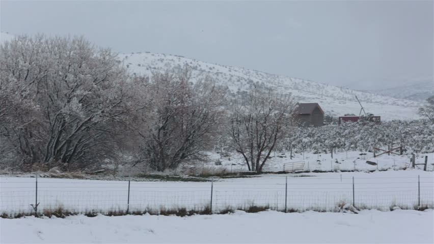 Winter Scene Pan Across Backyard Farm Field. Snow Storm Blizzard In ...