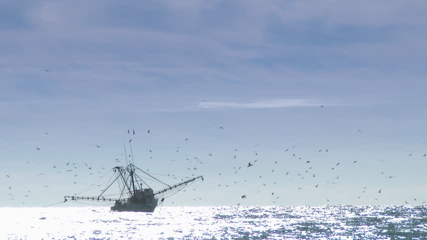 Stock video of a commercial fishing boat on the | 5203073 | Shutterstock