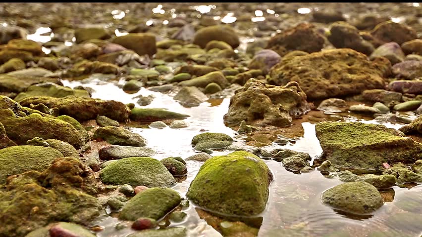 Rain Drops On the Rocks Stock Footage Video (100% Royalty-free) 5343083 ...