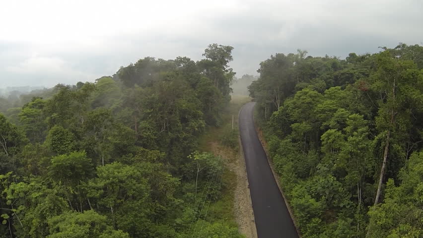 Aerial View Of A Road Running Through Primary Tropical Rainforest In ...