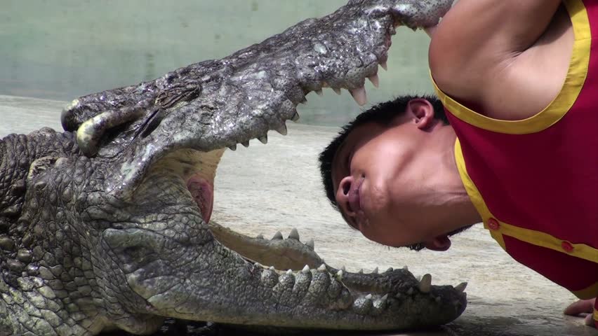 Samut Prakan Zoo & Crocodile Farm, Thailand - 21/09/09 - The Tamers Are ...