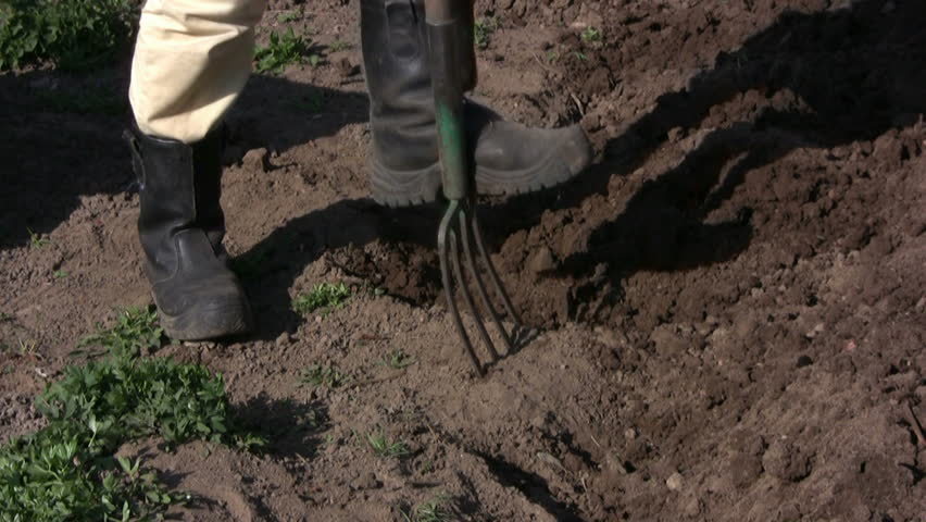 Break up Soil Stock Footage Video (100% Royalty-free) 592393 | Shutterstock