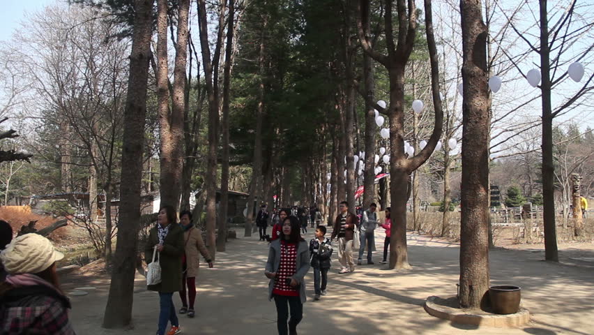 Nami Island - March 21: Stock Footage Video (100% Royalty-free) 6025523 ...