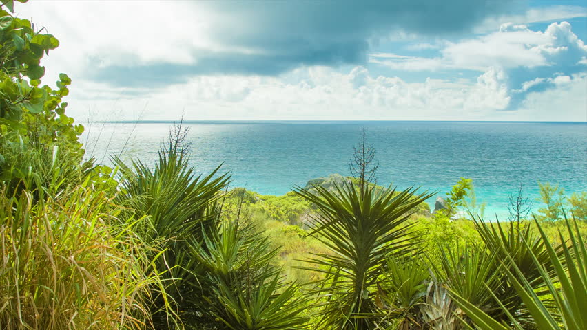 An Incredible Tropical Nature Scene Stock Footage Video (100% Royalty ...