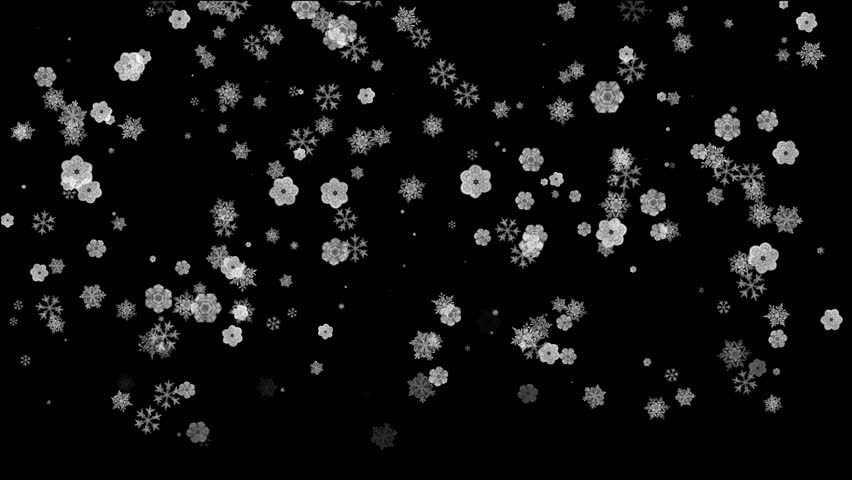 Snowfall On A Transparent Background Stock Footage Video 5163695 ...