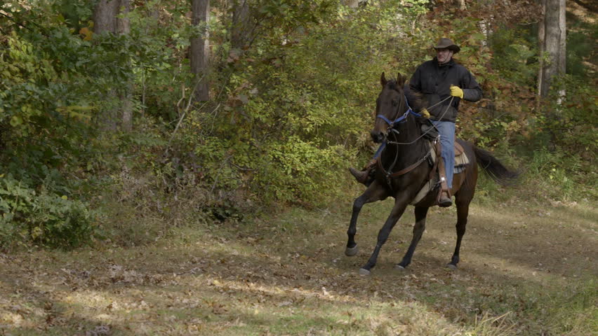 A Cowboy Rides a Galloping Stock Footage Video (100% Royalty-free ...