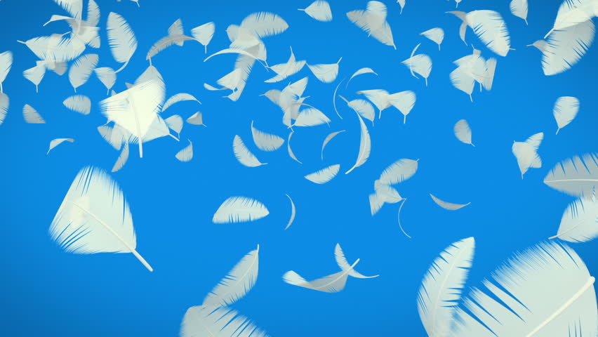 Falling Feathers with a Slight Stock Footage Video (100% Royalty-free ...