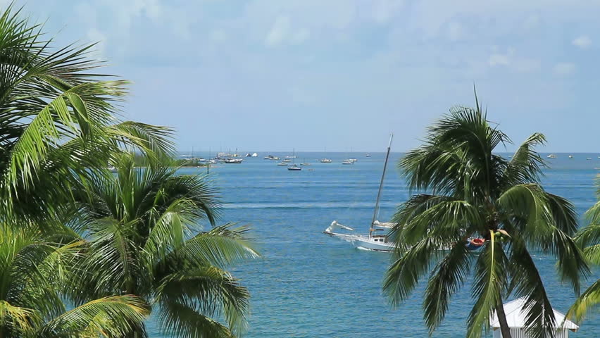 Key West Florida Ocean View Stock Footage Video (100% Royalty-free ...