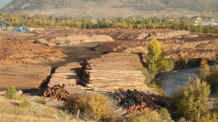 Log Stacks, Lumber Mill, Merritt BC. Raw Logs Stacked And Waiting For ...
