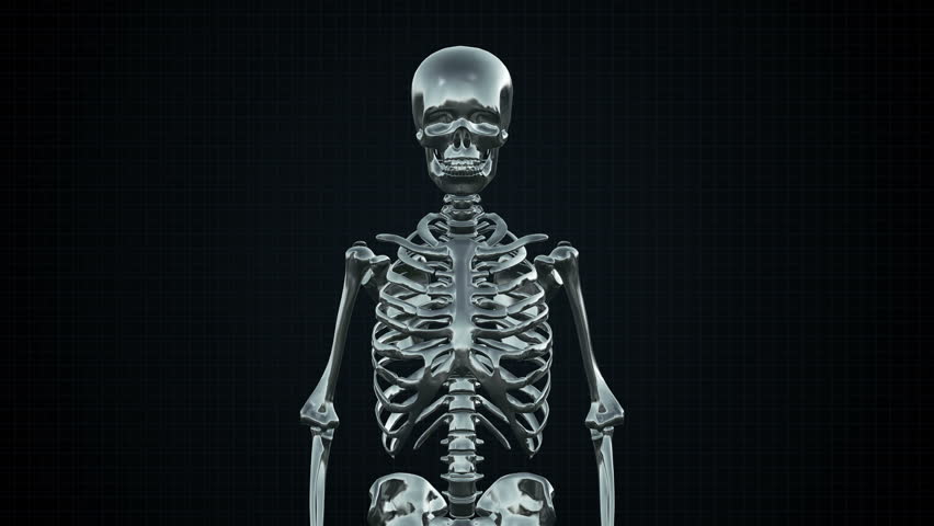 Human Skeleton In Sci-fi Green Interface Loop Able. Alpha Matte Stock ...