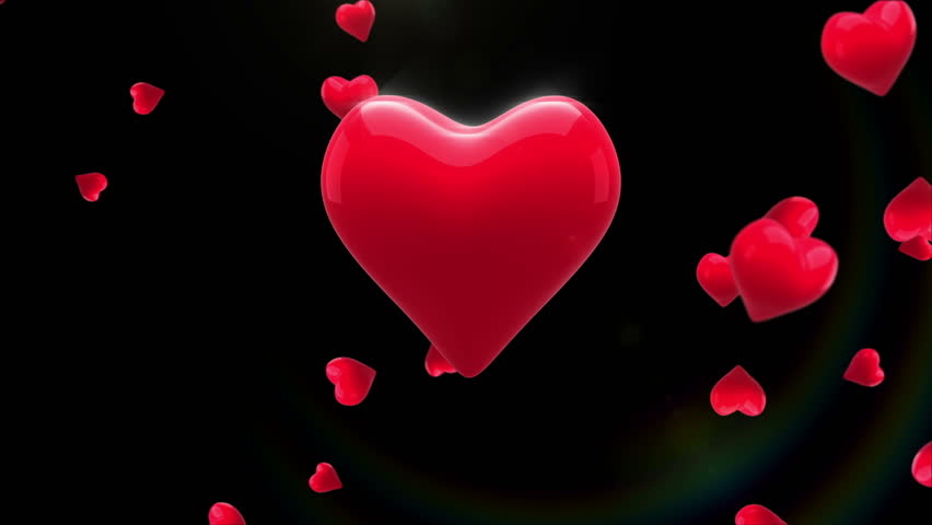 Anatomy of the Heart in a Very, Very Small Nutshell – prorenata.id